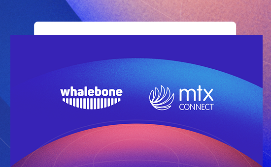MTX Connect Launches NetProtect in Collaboration with Whalebone